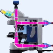 Deep-UV Microscopy › Rapp OptoElectronic